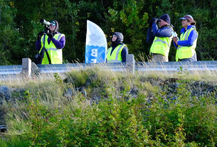 BOEM Homepage | Bureau of Ocean Energy Management