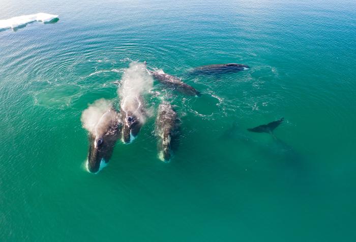 BOEM Homepage | Bureau of Ocean Energy Management