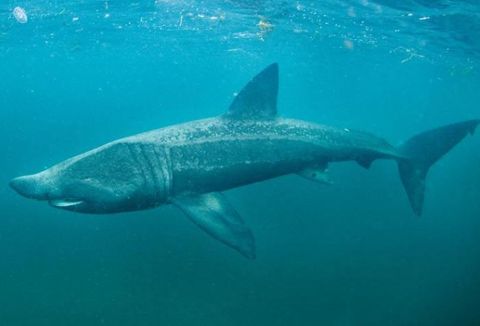 BOEM Homepage | Bureau of Ocean Energy Management