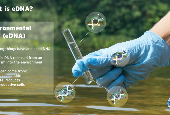 BOEM Homepage | Bureau of Ocean Energy Management