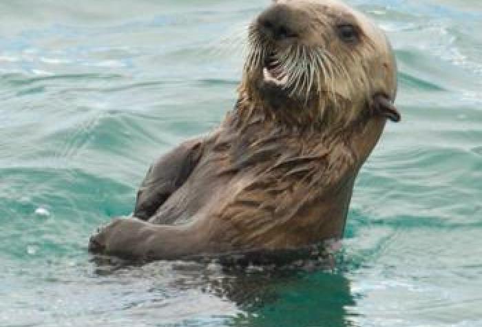 BOEM Homepage | Bureau of Ocean Energy Management