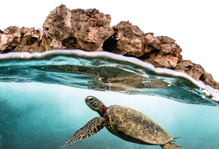 BOEM Homepage | Bureau of Ocean Energy Management