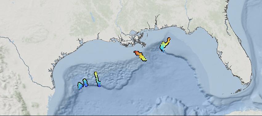 Large Submarine Canyons Atlas | Bureau of Ocean Energy Management