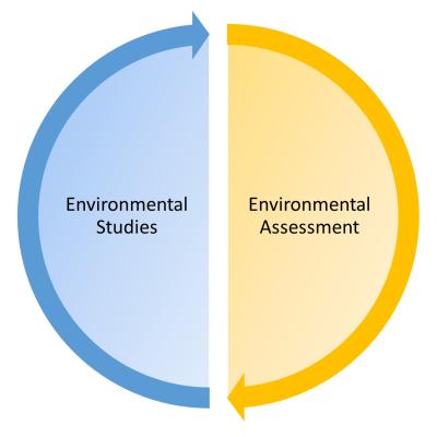 Evaluating Connections Between BOEM's Environmental Studies and ...