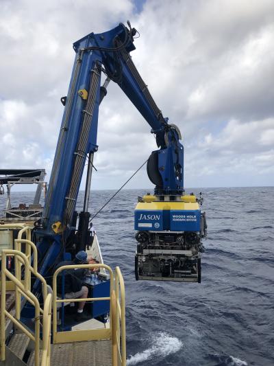 Exploring Atlantic Deep Sea Habitats with Deep SEARCH | Bureau of Ocean ...