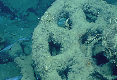 BOEM Homepage | Bureau of Ocean Energy Management