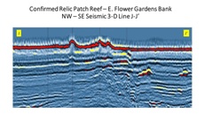 Seismic Water Bottom Anomalies Map Gallery | Bureau of Ocean Energy ...